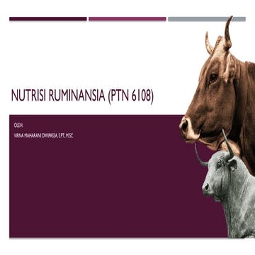 Nutrisi Ruminansia - Nutrisi Ruminansia ( | PPTX