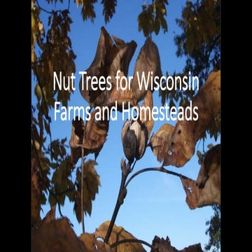 Nut trees for wisconsin farms and homesteads | PPTX
