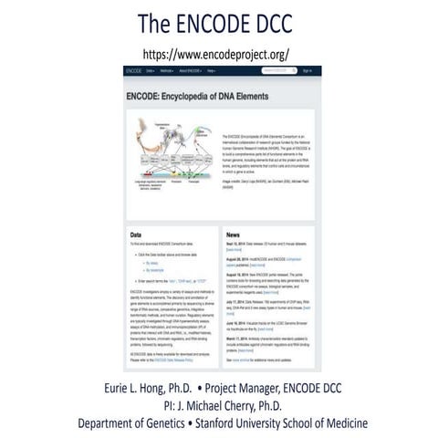 Implementation of GPU-based bioinformatic tools at the ENCODE DCC | PPTX