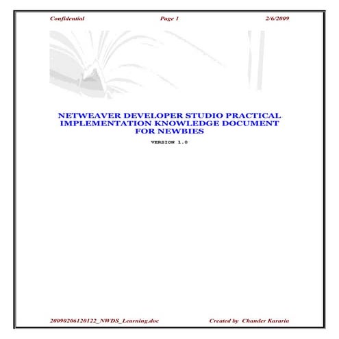 NetWeaver Developer Studio for New-Beas | PDF