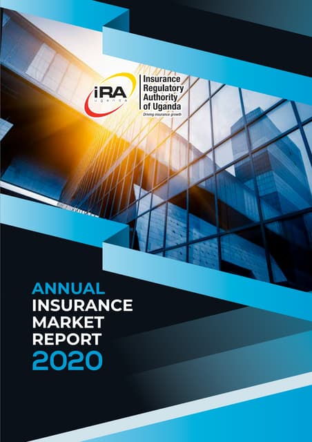 sample project report of CMEGP and PMEGP Loans | PDF