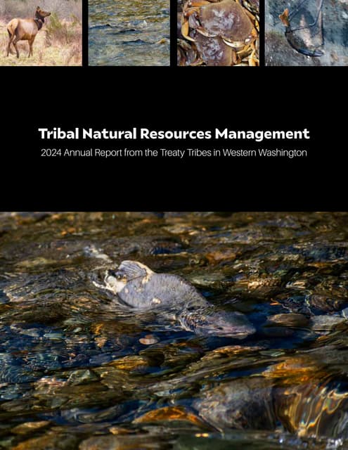 Comprehensive Tribal Natural Resources Management 2012 | PDF ...