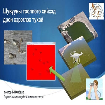 Nyambayar drone counting_birds | PPT