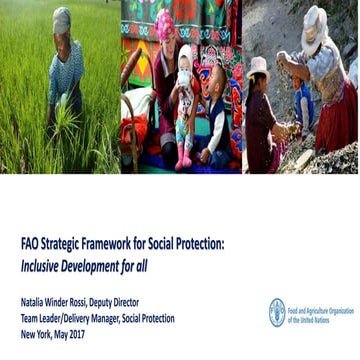 NY_FAO_Framework_Presentation_May_2017-3.pptx