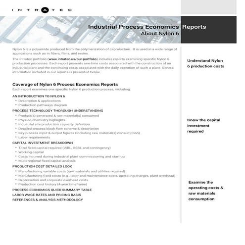 Economics of Nylon 6 Production Processes | PDF