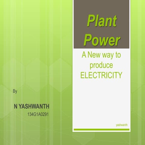 Plant Power - A New Way to Produce Electricity | PPTX