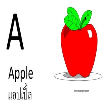 About vincent pettinelli | DOC