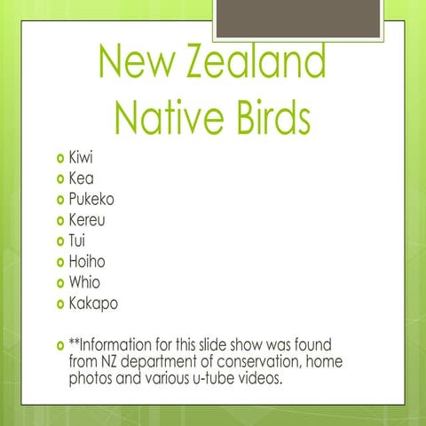 NZ Native Birds Presentation | PPTX