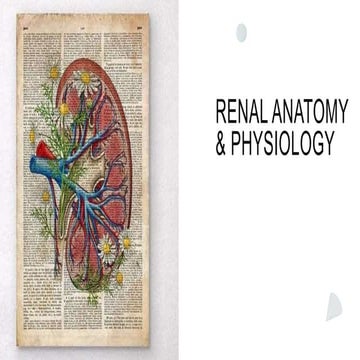 RENAL ANATOMY , PHYSIOLOGY AND ANESTHESIA | PPTX