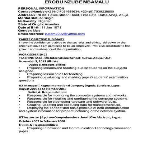 Nzube's cv | DOCX