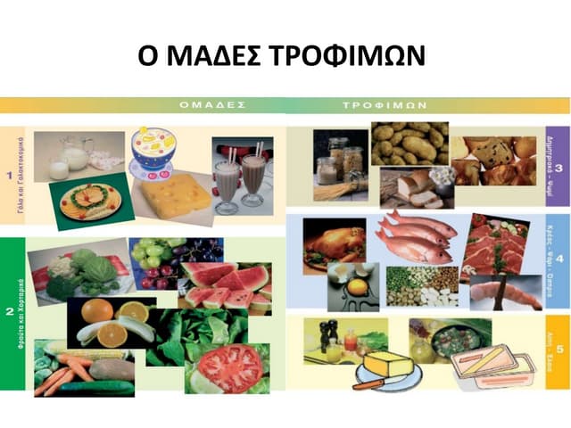 Κανόνες για την ασφάλεια των τροφίμων | PDF