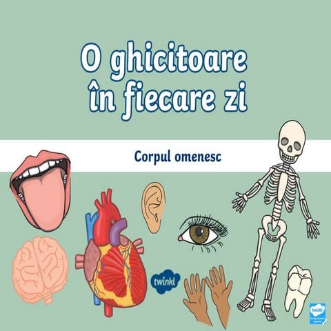 o-ghicitoare-n-fiecare-zi--ghicitori-despre-corpul-omenesc_ver_1_ver_2 ...