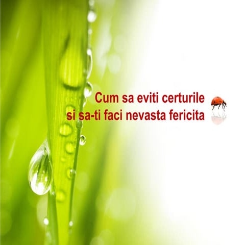 Recunostinta in viata | PPS