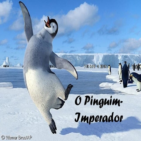 O Pinguim Imperador | PPT