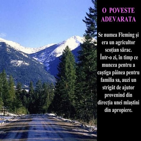 Fleming si churchill | PPS