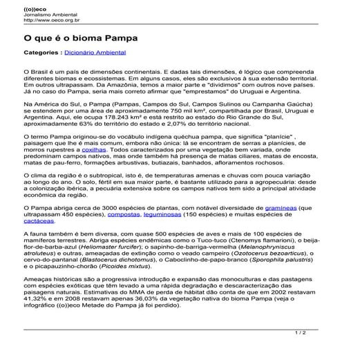 O que é o Bioma Pampa | PDF