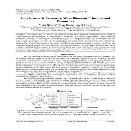 Interferometric Evanescent Wave Biosensor Principles and Parameters | PDF
