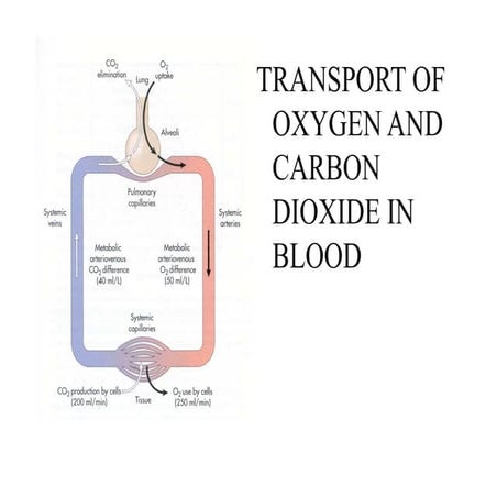 Transport of oxygen and carbon dioxide in blood | PPTX