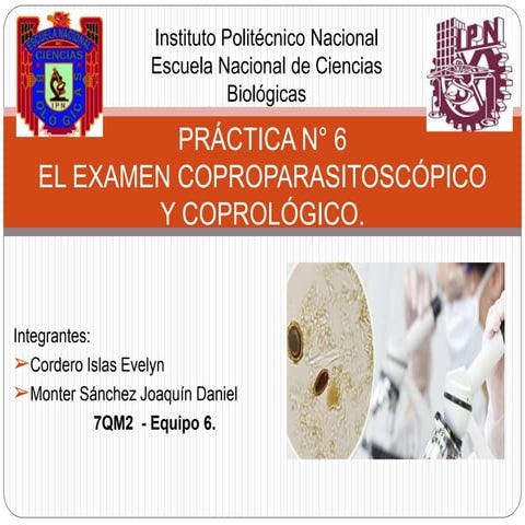 Paso a paso Coprología - Leidy Giraldo | PPTX