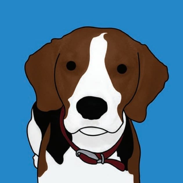 Opie Pop Art Pet Portrait | PDF
