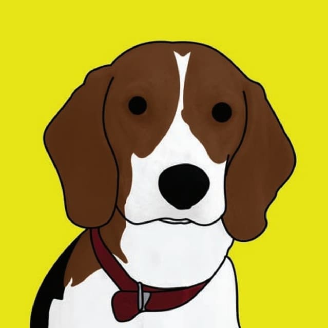 Opie Pop Art Pet Portrait | PDF