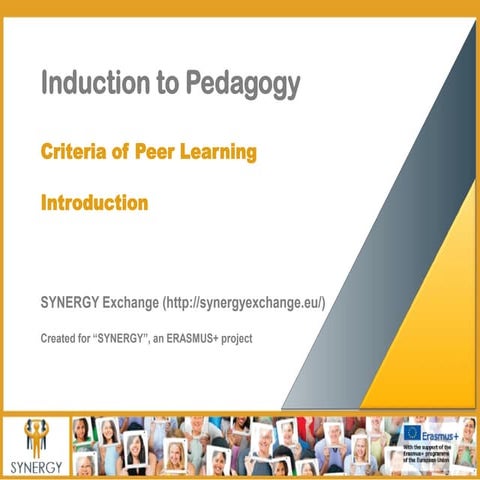 SYNERGY Induction to Pedagogy Programme - Criteria of Peer Learning (ENGLISH) | PDF
