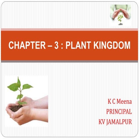 Grade 11 biology plant kingdom | PPTX