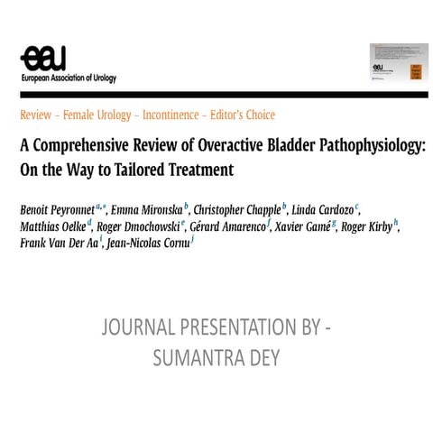 OVERACTIVE BLADDER NEW APPROACH.pptx