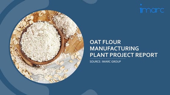 Rice Processing Plant Project Report.pdf