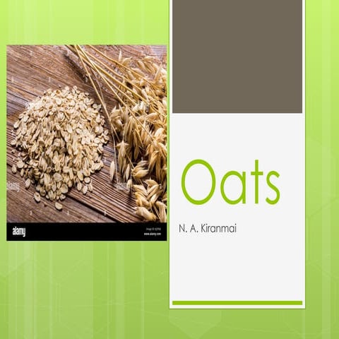 Cultivation Practices of Oats - Soil, Climate, Varieties, Irrigation ...