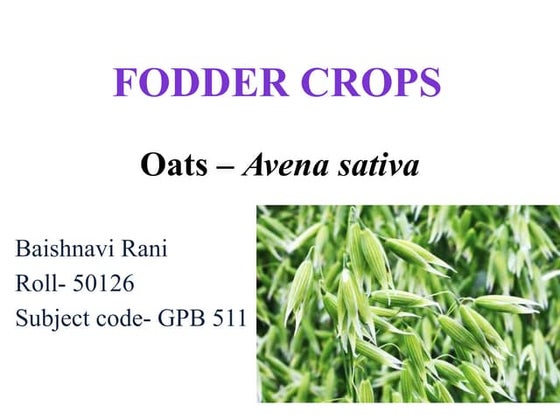 oat. 37..pptx