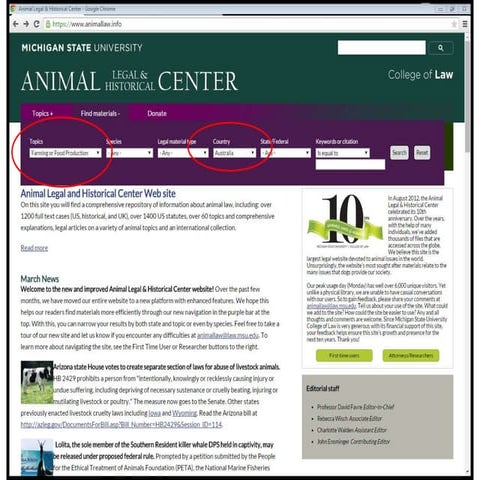 Puppy_Mills_The_Animal_Welfare_Act_spr_25 | PPT