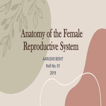OB-GYN Seminar on the anatomy of female genital tract | PPT