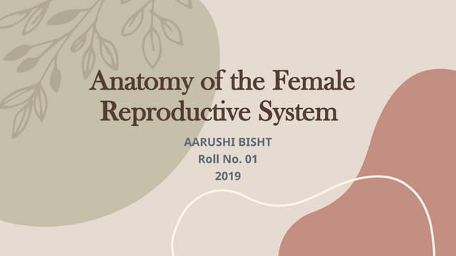 APPLIED ANATOMY OF external female genitalia.pptx | Reproductive Health | Diseases and Conditions