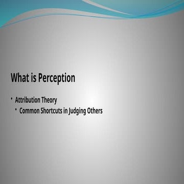 Organisational behaviour perception.pptx