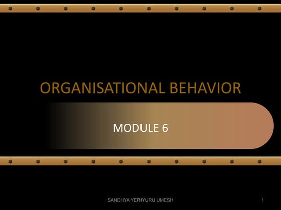 Unit 3 Organanizational behavr and topics.pptx