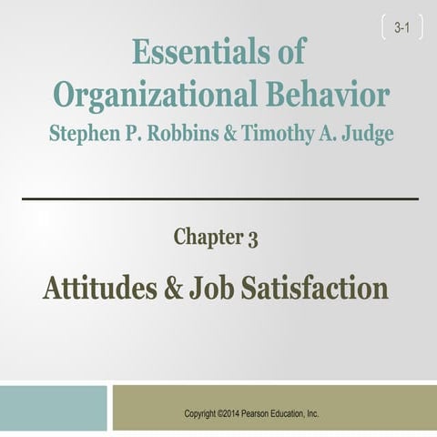 Organizational Behavior Chapter Three.pptx