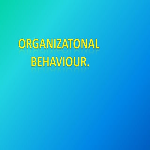 Organizational Behavior Chapter 1 | PPTX