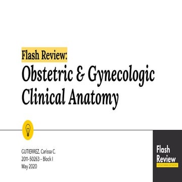 Obstetric and Gynecologic Clinical Anatomy | PDF