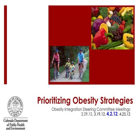 Obesity Steering Committee 4-2-12 Presentation | PPT