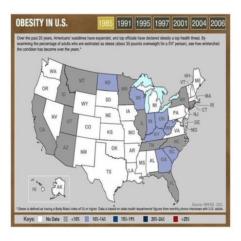 Obesity Stats Map USA | PDF