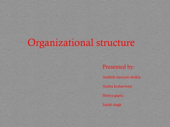 Functional, Divisional & Matrix Organizational Structure.pptx