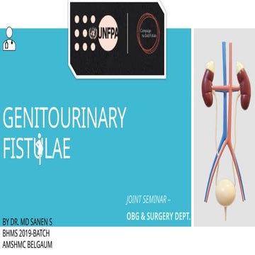 Urinary Tract Fistulas -(VVF) Etiology, Diagnosis, Management | PDF