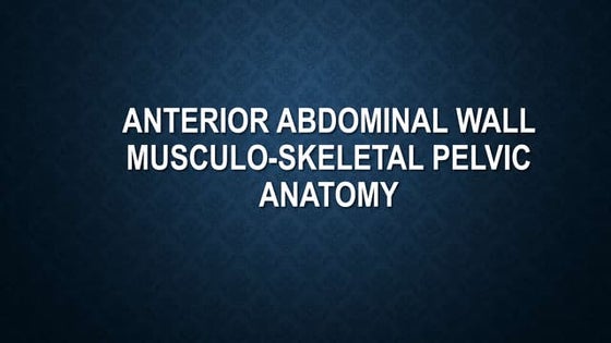 Anatomy of penis and physiology of erection | PPTX | Sexual Conditions ...