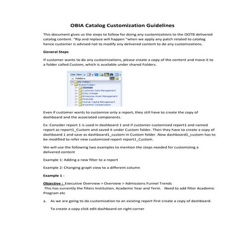 Obia catalog customization_guidelines | PDF