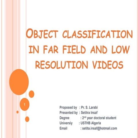 Feature Hierarchies for Object Classification