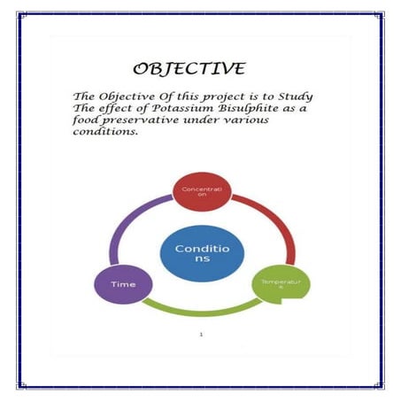 Objective | DOCX