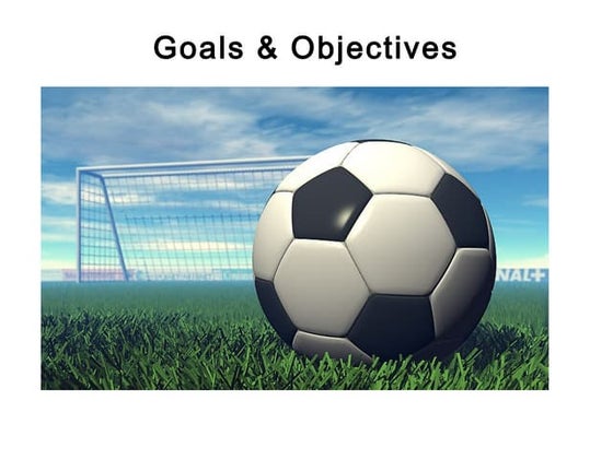 Individual Goals Template | PDF