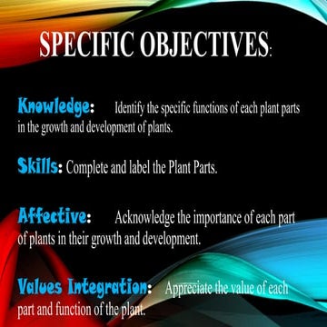 OBJECTIVES-part plants.pptx............. | PPTX