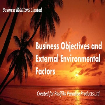 Objectives and external factors | PPTX | Business | Business and Finance